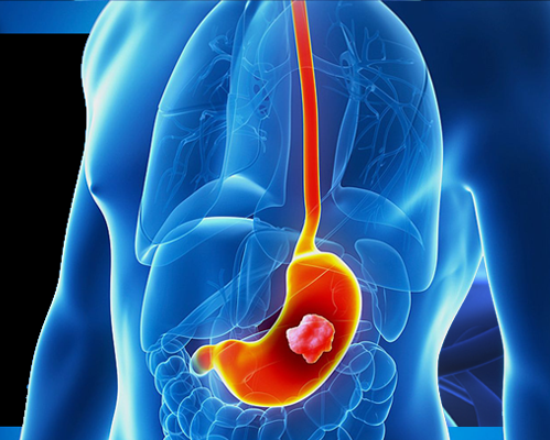 Digestive Tract - Macs Clinic